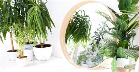 Tworzymy Lustro Boho DIY Krok Po Kroku Bluecarpet