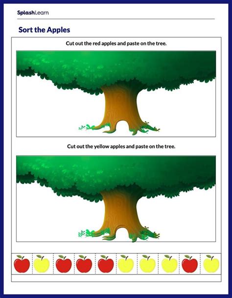 Sorting Objects Worksheets Free And Printable Splashlearn
