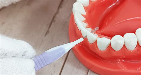 Benefits And Effects Of Interdental Brushes Oem Japanese Made