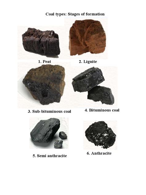 Coal Types Stages Of Formation Pdf