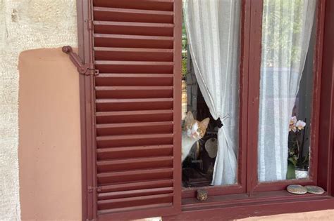 The Environmental Benefits Of Installing Hurricane Shutters