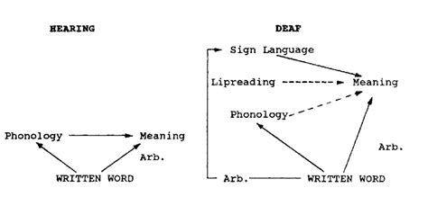 What Does The Word Schematic Diagram Mean Wiring Work