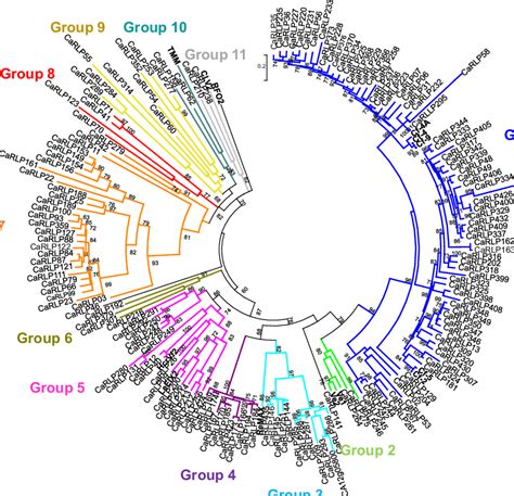 phylogenetic analysis and chromosomal locations of carlps a physical