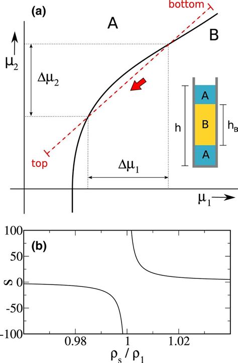 A Schematic Bulk Phase Diagram Of A Colloidal Binary Mixture In The Download Scientific