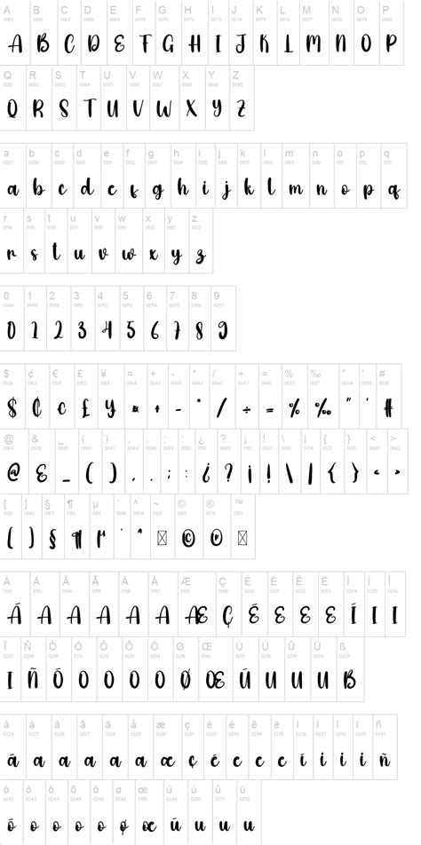 Body Font