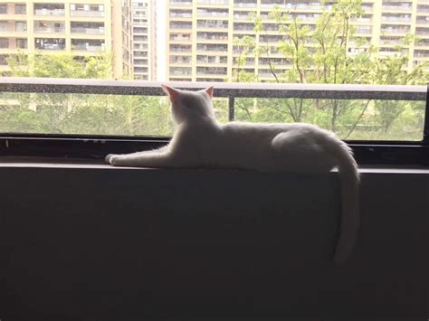 【bugfix】struts2 052 ⊙o⊙ 知乎