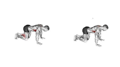 Scapula Push Ups Muscles Worked How To Do And Benefits