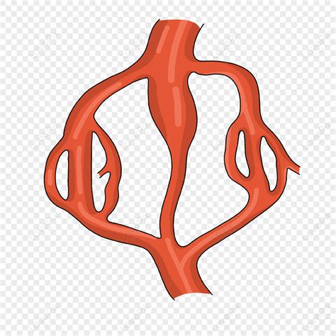 심장학 동맥 트렁크 및 평행 그림 일러스트피의혈관 Png 일러스트 무료 다운로드 Lovepik