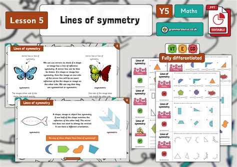Year 5 Position And Direction Lines Of Symmetry Lesson 5 Grammarsaurus