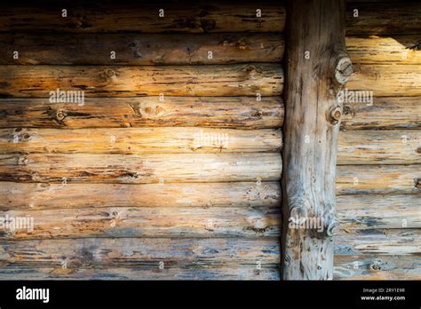 Modern Hand Hewn Natural Log Cabin Wall Facade Fragment Texture Rustic