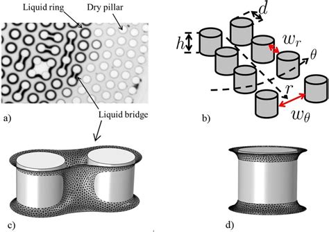Secondary Liquid Structures A Secondary Liquid Structures Forming