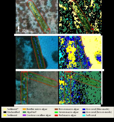 Examples Of Field Validation Transects With A 50 M Circular Buffer Download Scientific