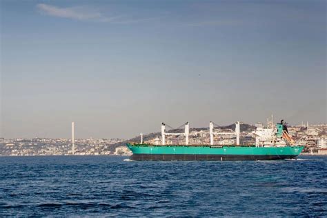 Import Export Data At ₹ 10000month Import Export Database In Noida