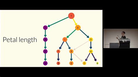 Clustree A Package For Producing Clustering Trees Using Ggraph Youtube