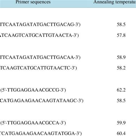 Primers Sets And Amplification Of Multiplex Pcr Analysis Download Scientific Diagram