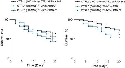 Survival Of Control IPSC Derived IMNs Determined With The Seven Factor Download Scientific