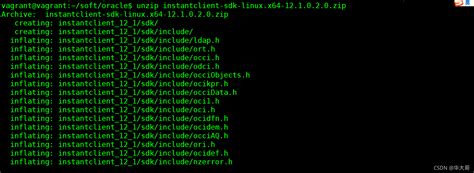 Linux Php72环境下安装pdooci，oci8扩展使用yii连接oraclephp72安装oracle扩展 Csdn博客