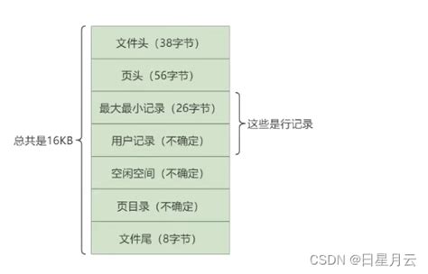 第07章 Innodb数据存储结构【2索引及调优篇】【mysql高级】1 阿里云开发者社区