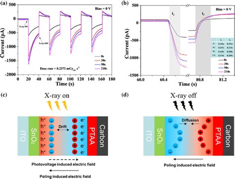 A At Zero Bias The X Ray Photocurrent Response Curves Of Different Download Scientific Diagram