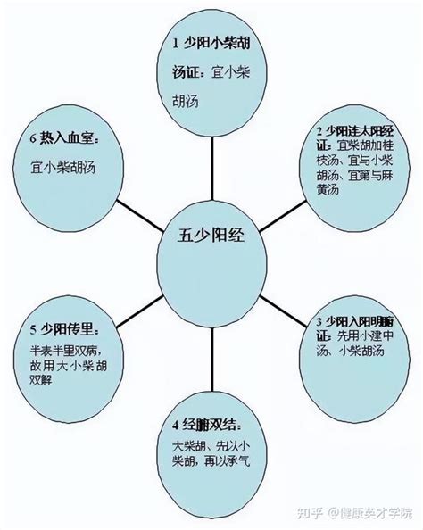 中医人必看伤寒论六经辨证的含义及思维导图 知乎
