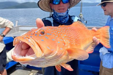 Clarabelle Indie Virtual Youtuber Drawn By Syakunetuu Danbooru