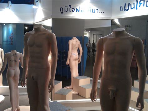 Paul Blog Review Sex