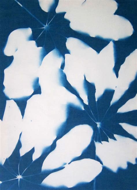 Tropicalplants — H Lisa Solon