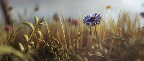 Eddy On Linkedin Animation Film