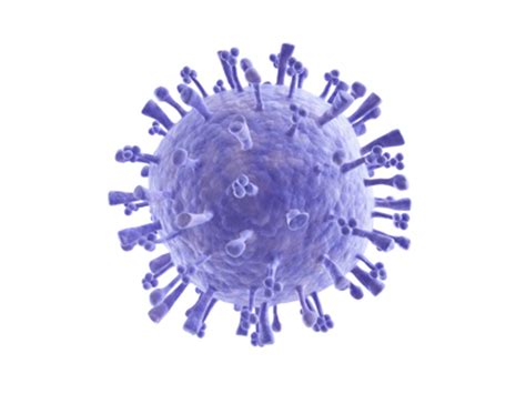 脐带血单个核细胞（cbmcs） 吉诺生物 吉诺生命健康控股集团有限公司