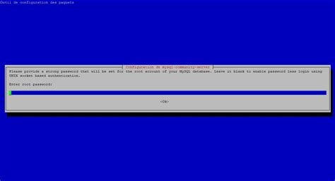 Installer Mysql Sur Debian 11 En 3 étapes