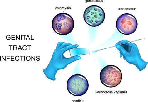 Science Vector Images Over 630 000