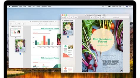 Tips For Using PDFs On Web Pages Web Design Page Web Development