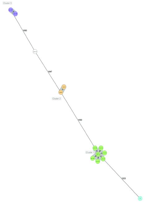 minimum spanning tree mst showing the relatedness of the 14 isolates
