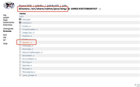 What Does Java Mean By Native And How To View The Source Code Such As
