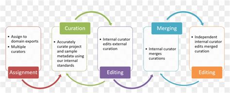 Image3 Data Curation Pipeline Clipart 5406638 Pikpng