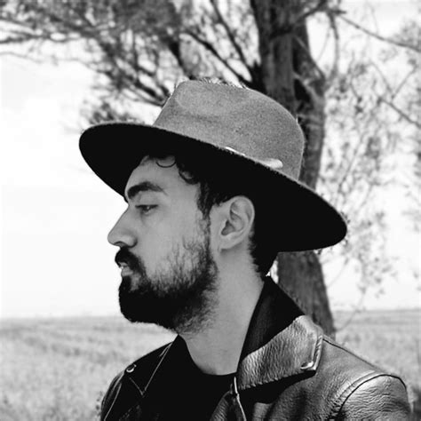 Kayvan Arham React Developer Quality Assurance Engineer Tulu