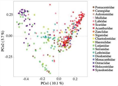 Principal Coordinates Analysis Pcoa Plot Illustrating Bray Curtis Download Scientific Diagram