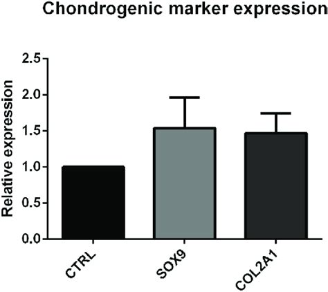 Chondrogenic Marker Expression Rt Pcr Result Of Chondrogenic Marker