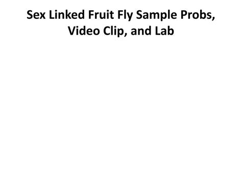 Ppt Sex Linked Genes Powerpoint Presentation Free Download Id4609427