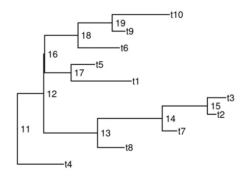 Yuki Matsuda Rで系統樹を扱う