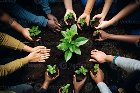 Personas Cuidando El Medio Ambiente