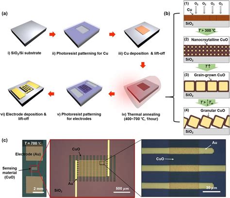 Nanofilm Singapores Nanofilm Tech Slumps Wiping Out Over 460