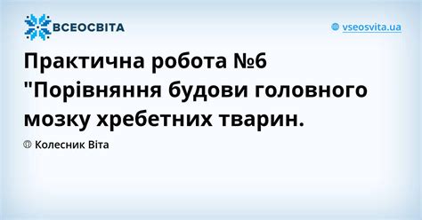 Практична робота №6 Порівняння будови головного мозку хребетних тварин Урок на 8 завдань