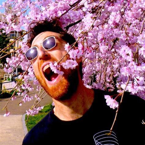 Hanami Charts Chart By Humantronic On Beatport Music Download