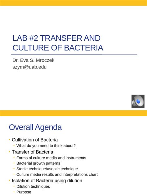Lab 2 Lecture 2 Pdf