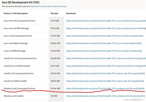 Jdk17tomcat11安装配置教程（压缩包方式）tomcat110安装教程 Csdn博客