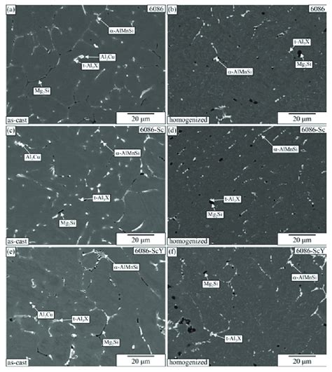Microstructures Of The Investigated Alloys In The As Cast And