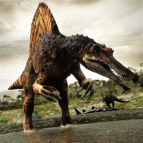 Spinosaurus Pictures Facts Diet And Adaptations