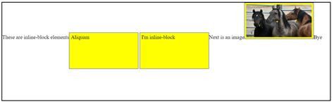 Adding Anchor Link To An Image Causes Extra Space Html Css The Freecodecamp Forum