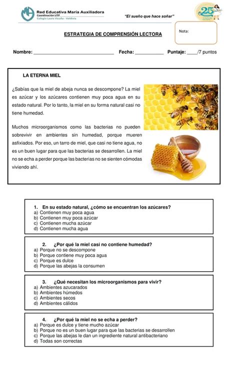Guía De Comprensión Lectora Profesocial